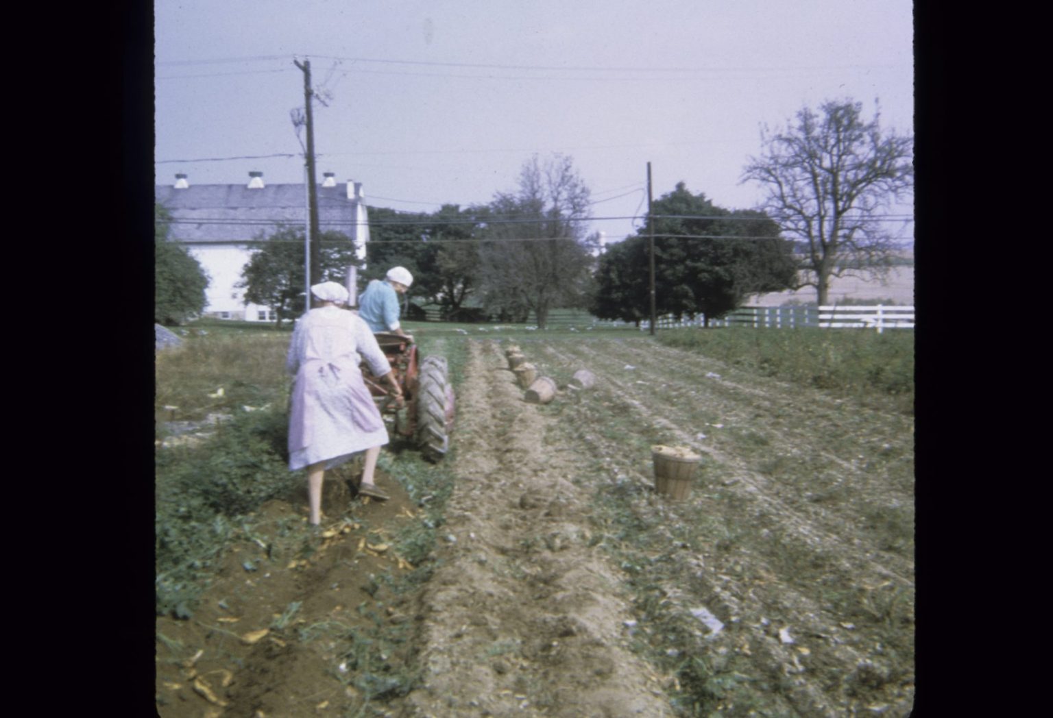 About - Hoffer Farm